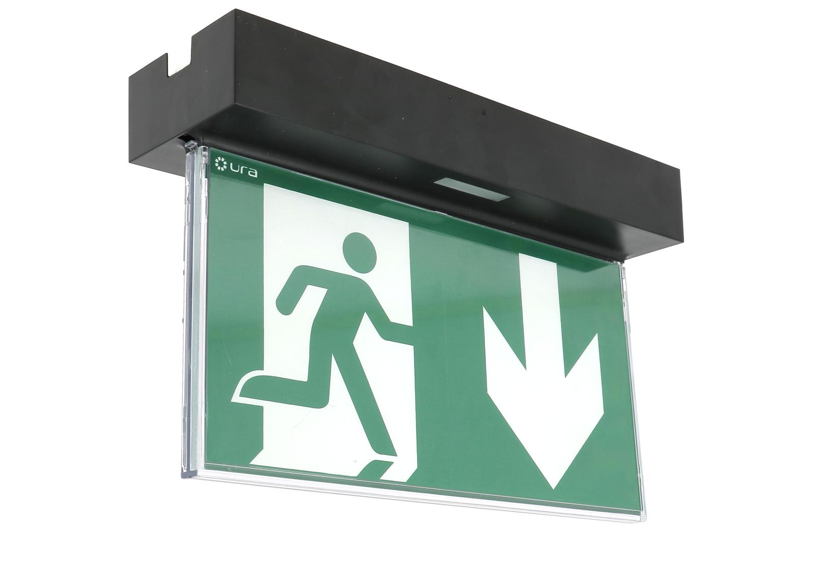 UR118419V - BAES Évacuation URALIFE V 45lm-1h Adressable Plafond - Noir | URA